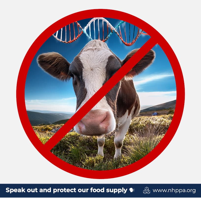 🍁 How do we know if it's cloned meat? Viande clonée. Aucune étiquette ...